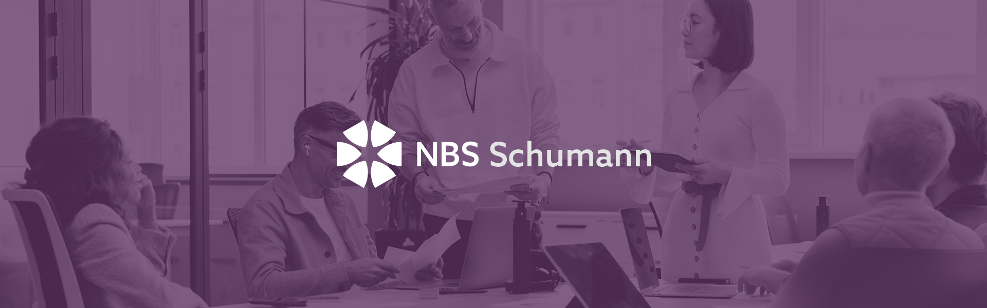 Introducing the NBS Consultancy Bundle | NBS