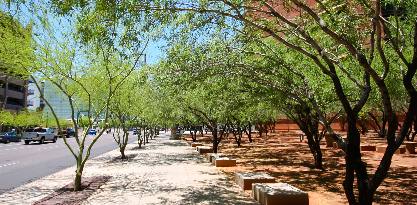 Unlocking the secrets of street ambience | NBS