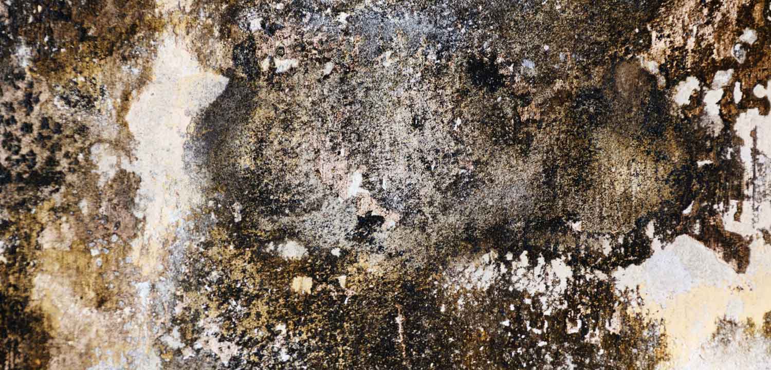 The NBS guide to damp: causes, effects and measurement | NBS