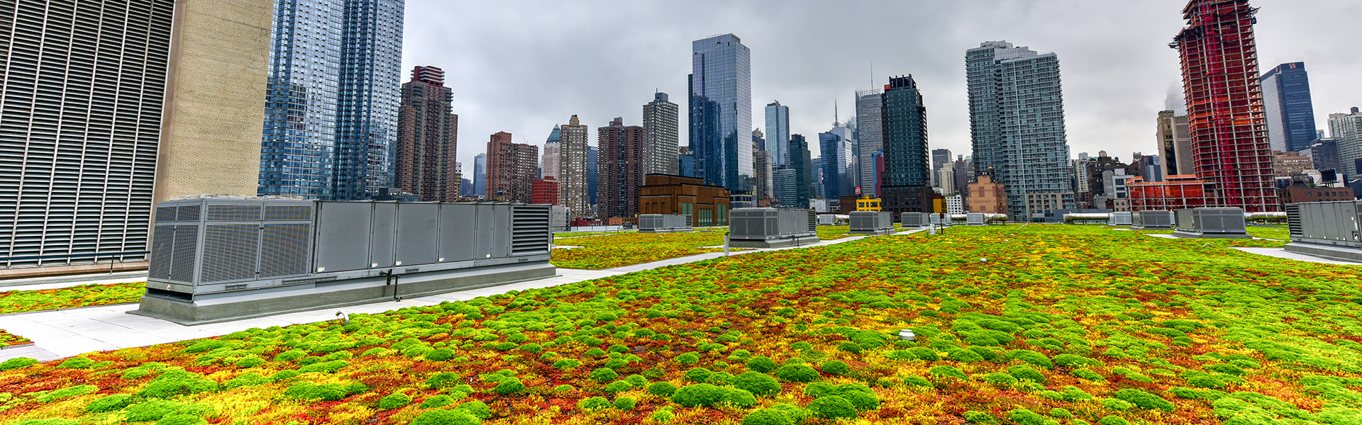 Advanced specification writing with Chorus Premium | NBS