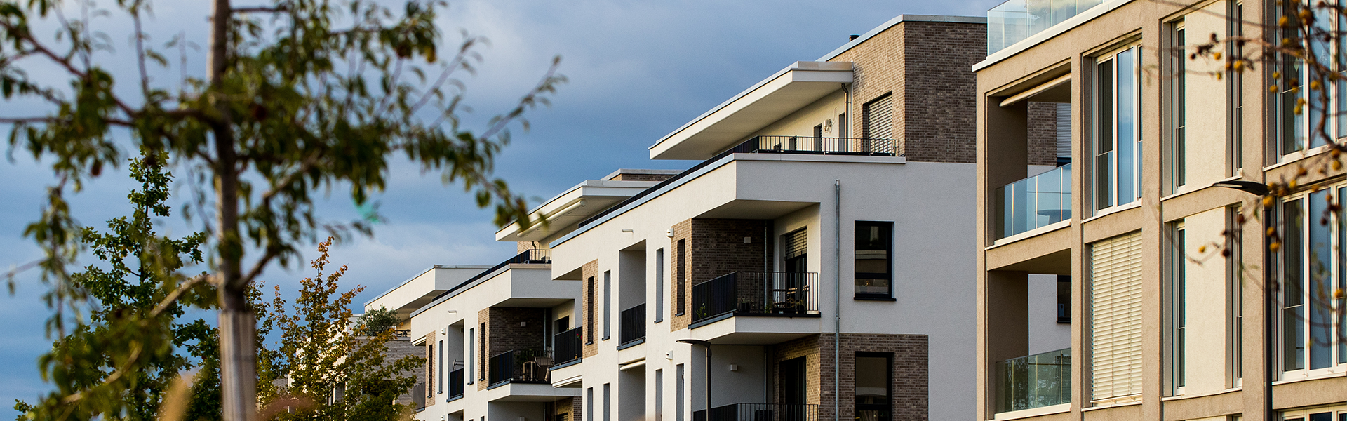 Design and Specification | NBS