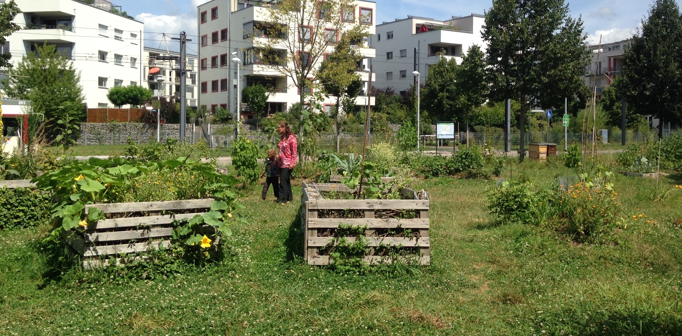 Green space - how much is enough, and what's the best way to deliver it ...